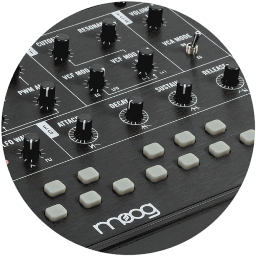 Moog Mavis | Lebanon | Per-vurt Store